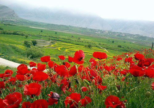 Sosan Izeh plain – Walking In Iran